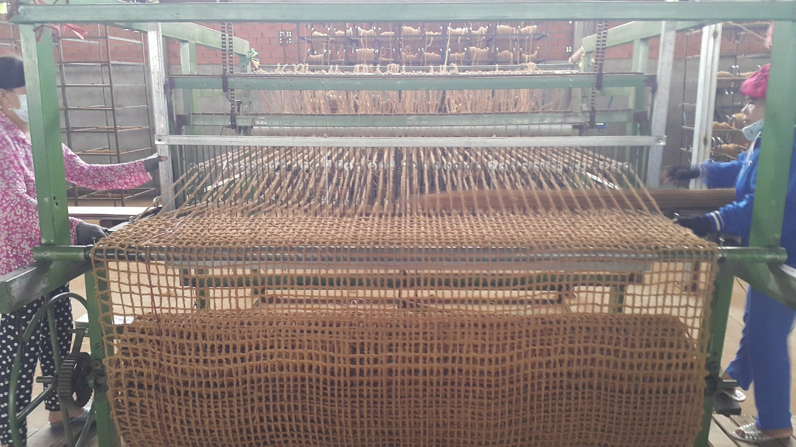 Coconut Fiber Mesh: Eco-Friendly Solutions for Erosion Control – Green ...