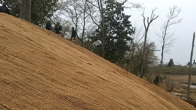 Coconut Fiber Mesh: Eco-Friendly Solutions for Erosion Control – Green ...